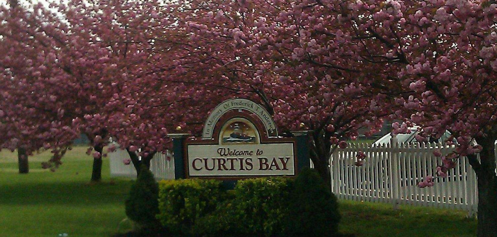 Curtis Bay MD No Fee Low Cost Waste Service May 2026